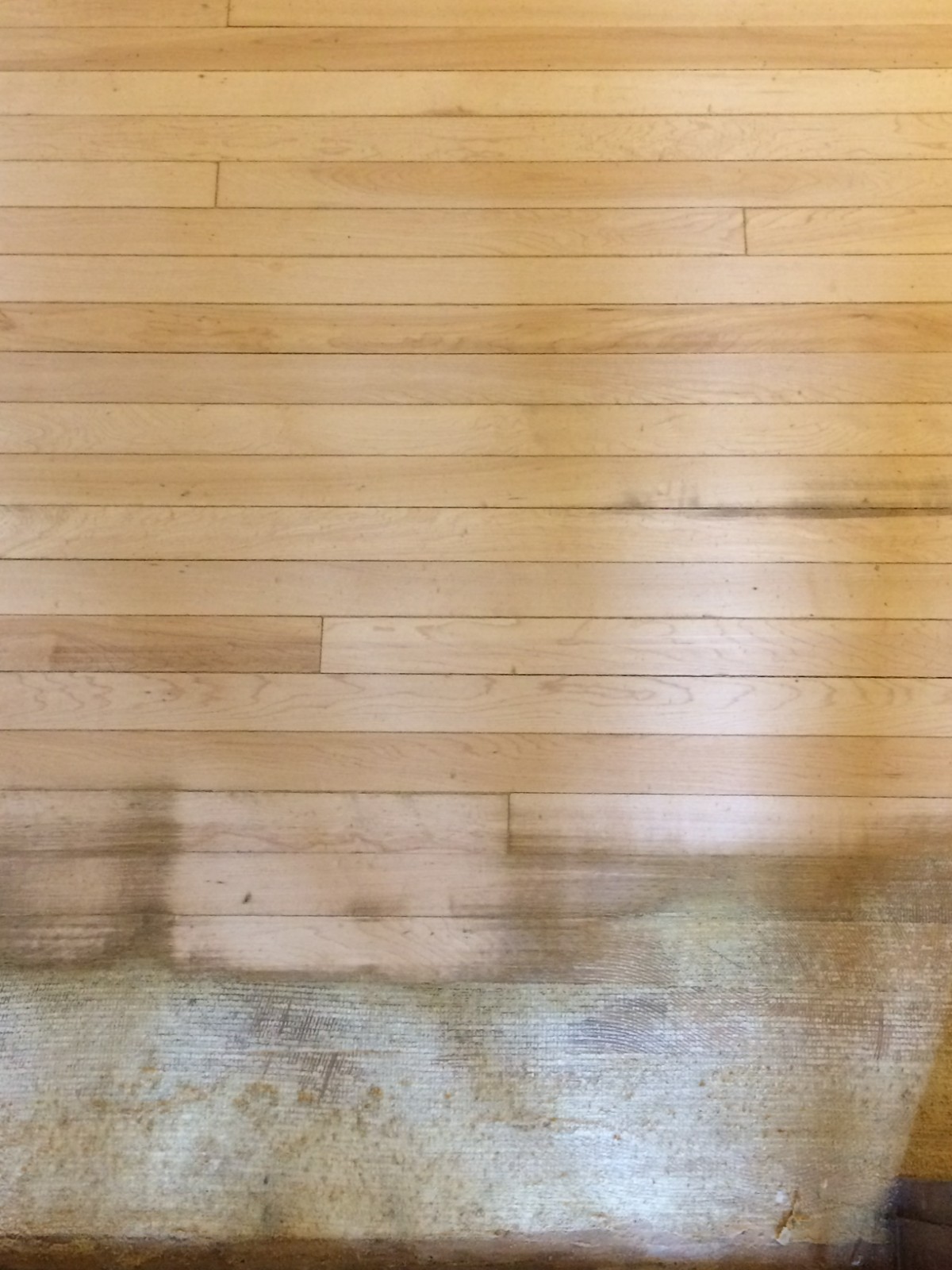 Interior Beautification Project